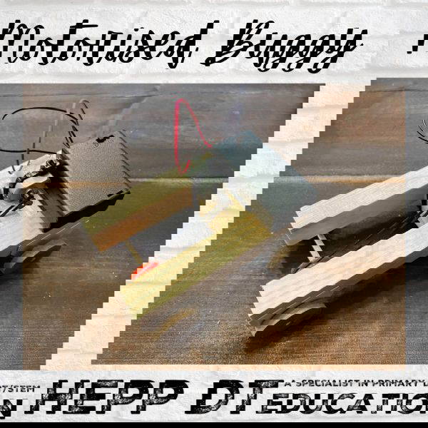 Motorised Buggies - HEPP DT